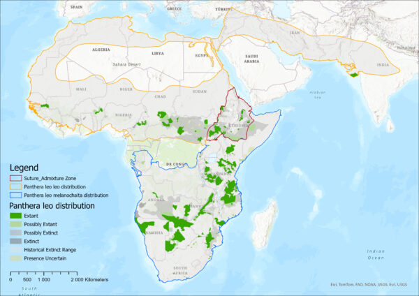 Species Status - African Lion Database Project